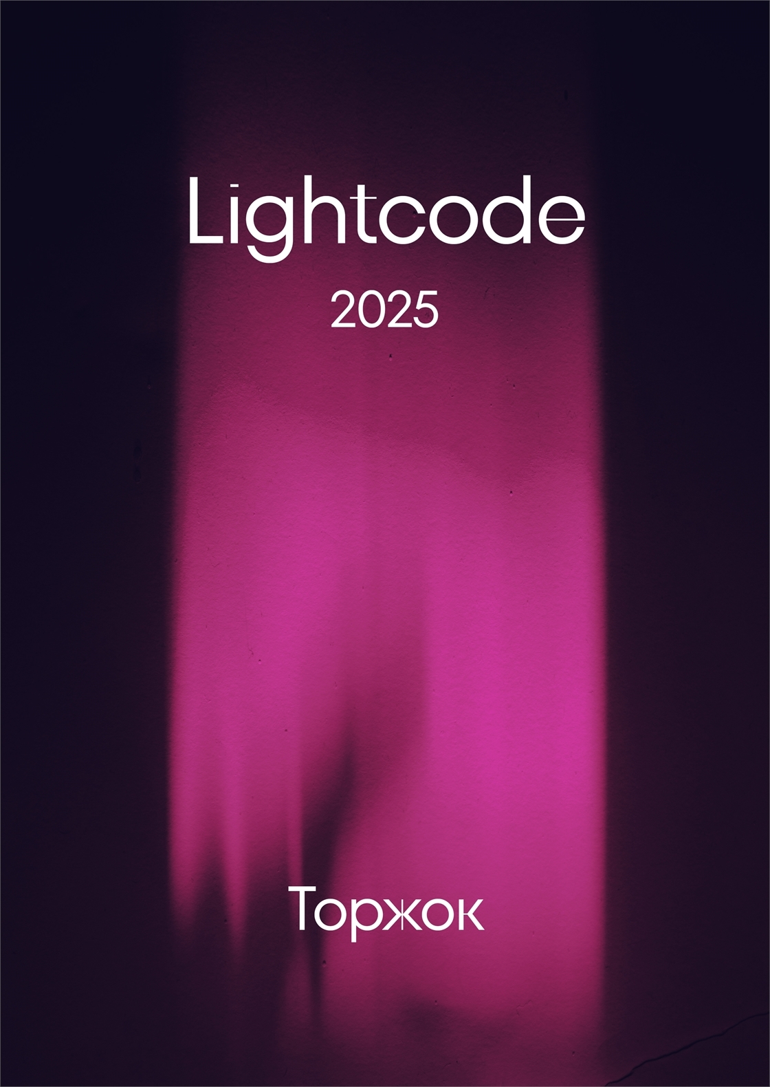 Студенческое портфолио / Lightcode — световой фестиваль