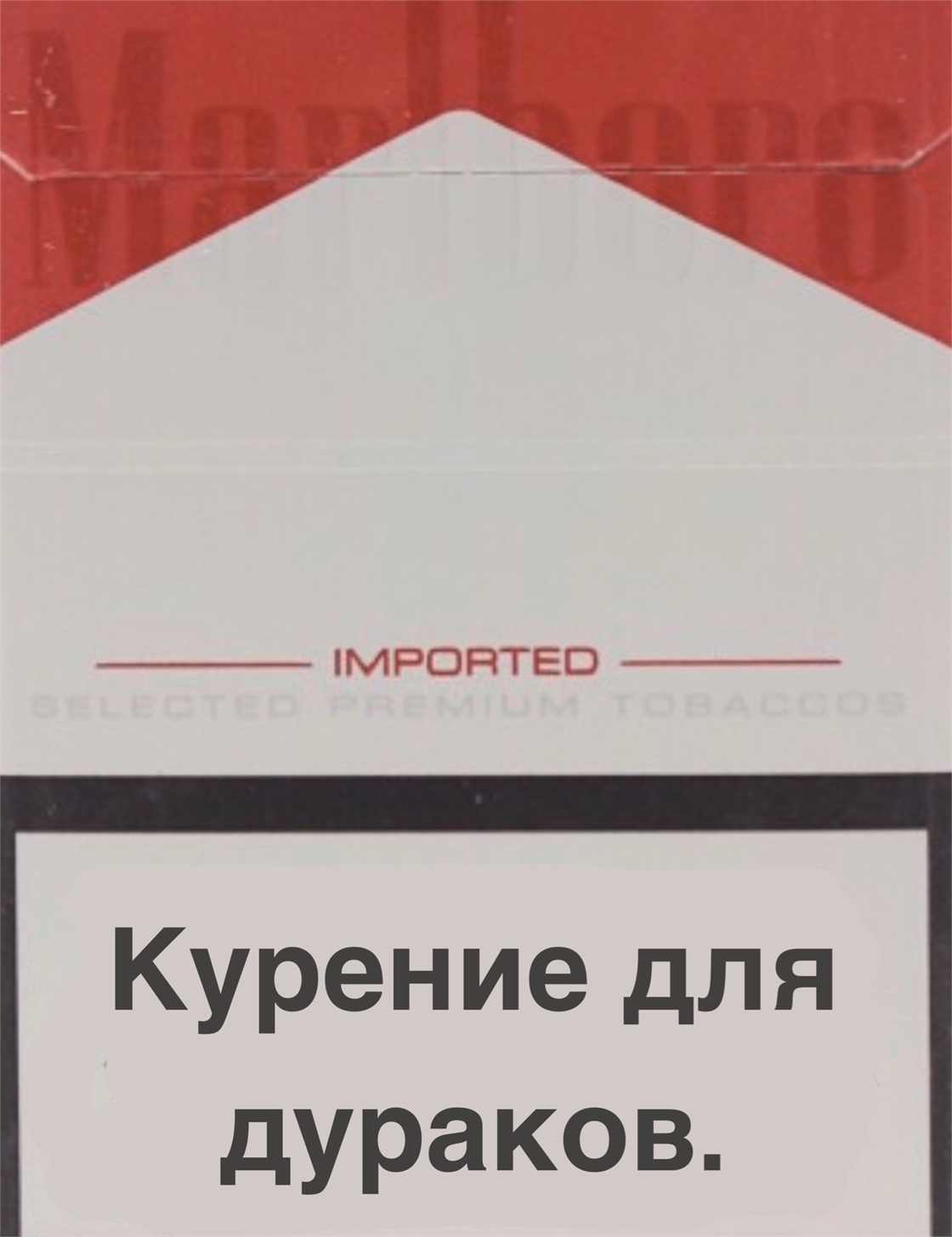 Студенческое портфолио / Курение для дураков.